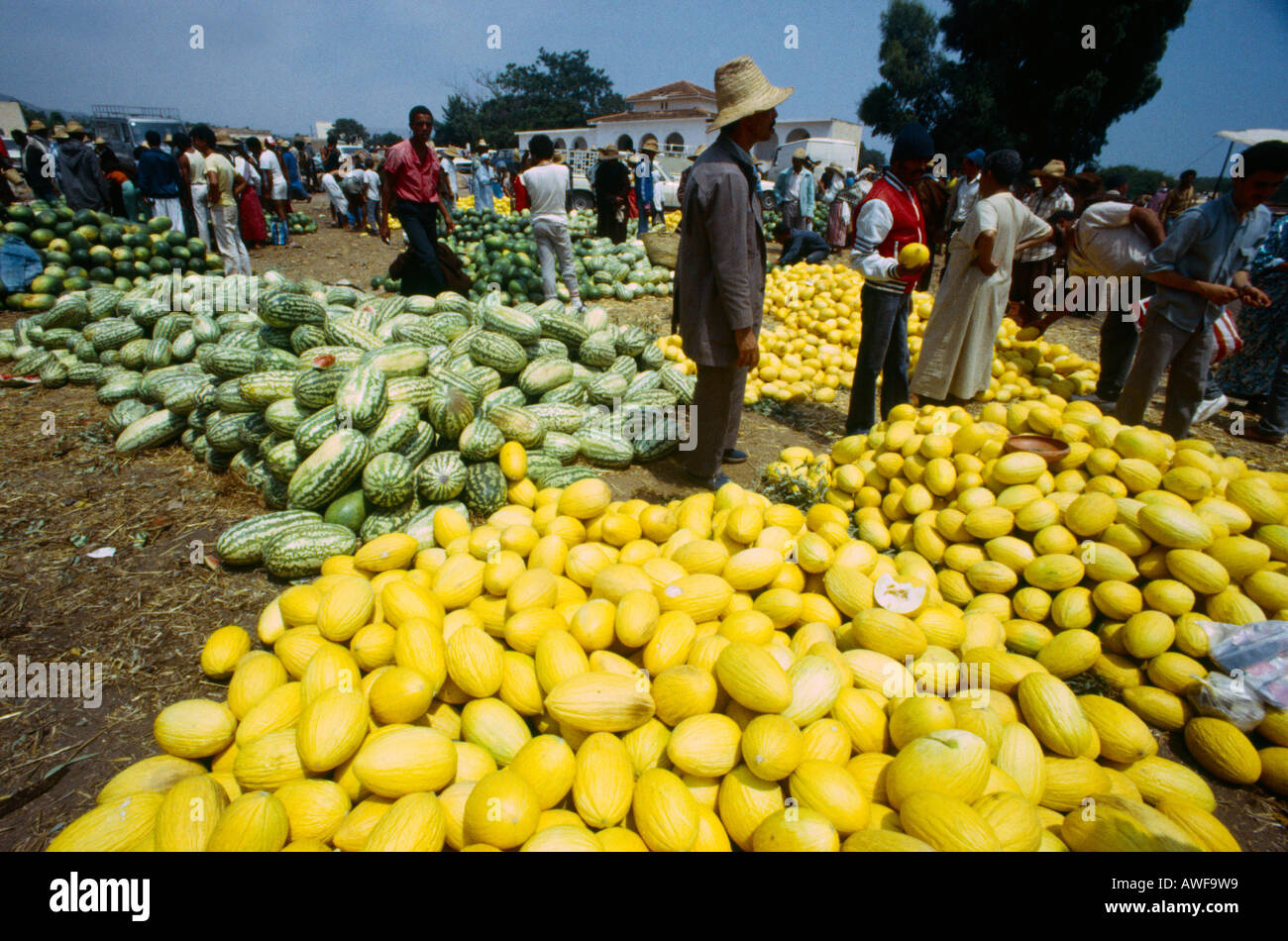 Oued laou hi-res stock photography and images - Alamy