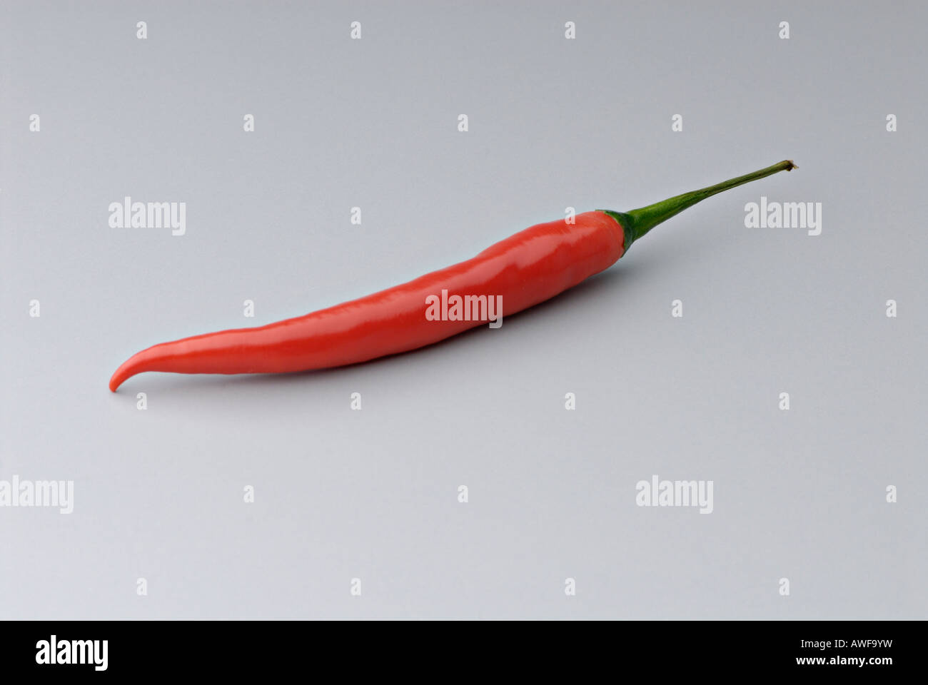 Red sharp Chilli pepper Stock Photo - Alamy