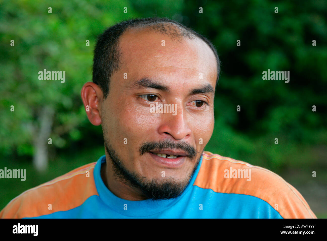 Abstammender hi-res stock photography and images - Alamy