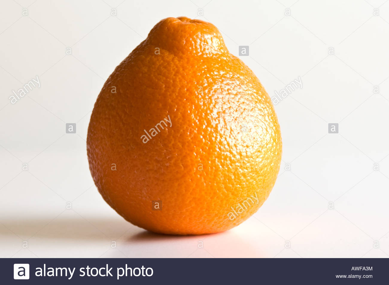 Tangelo Fruit Stock Photos & Tangelo Fruit Stock Images - Alamy