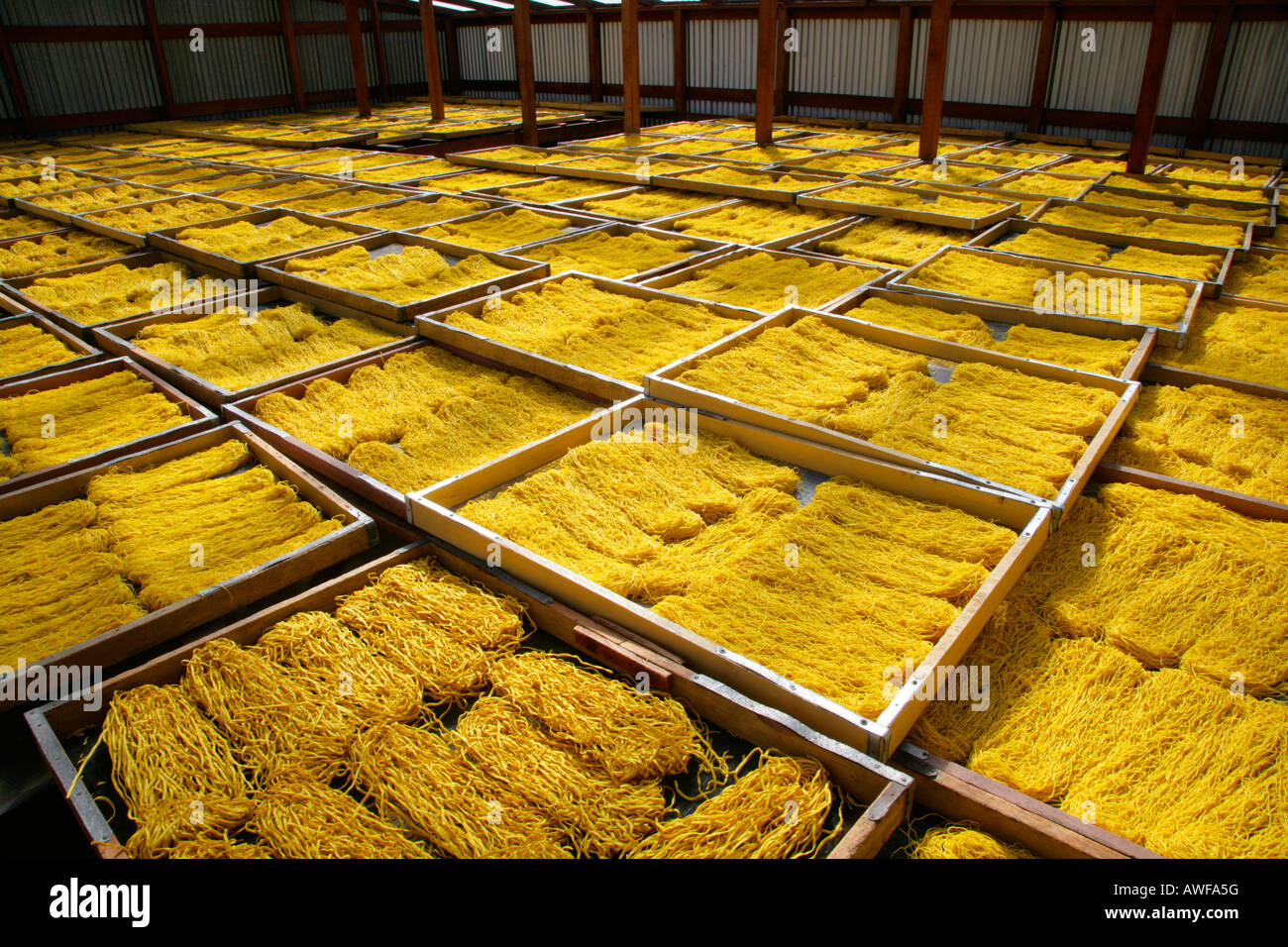 Precooked pasta laid out to dry, pasta factory, Demerara Province ...