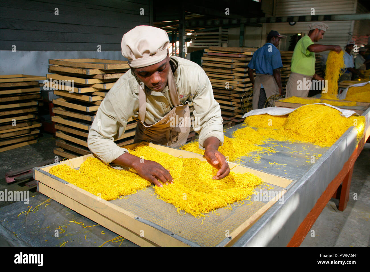 Workers engaged in the production of pasta at pasta factory, Demerara ...