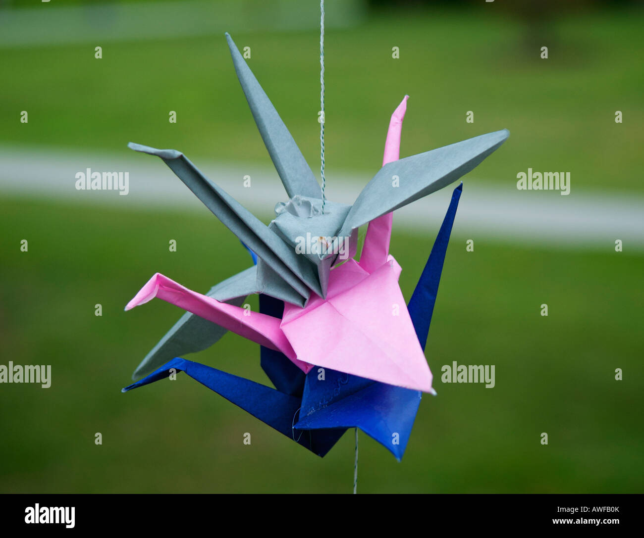 Hanging from a string hi-res stock photography and images - Alamy