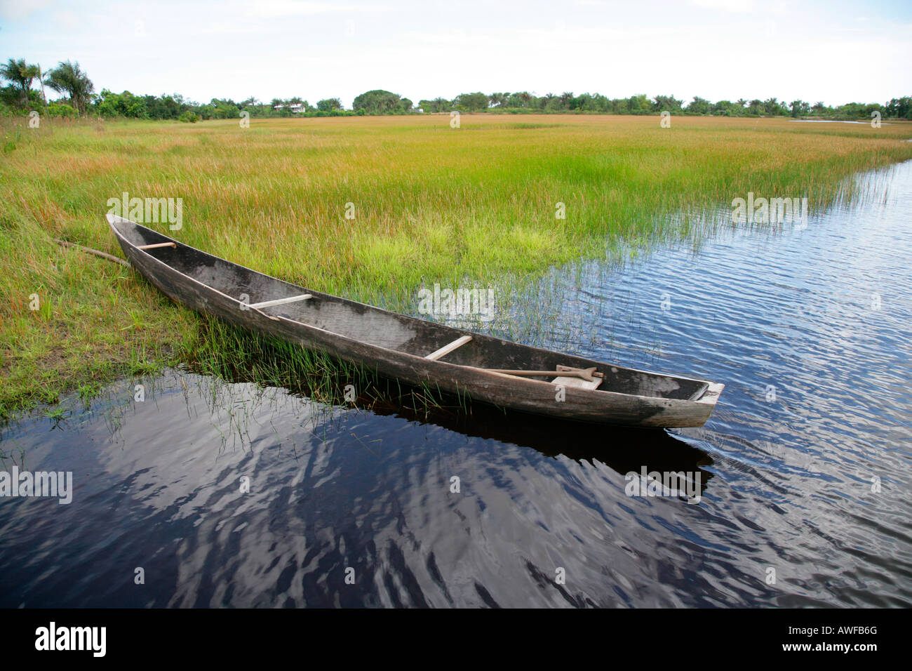 Wooden canoe at the shore of Lake Capoey, Guyana, South America Stock ...