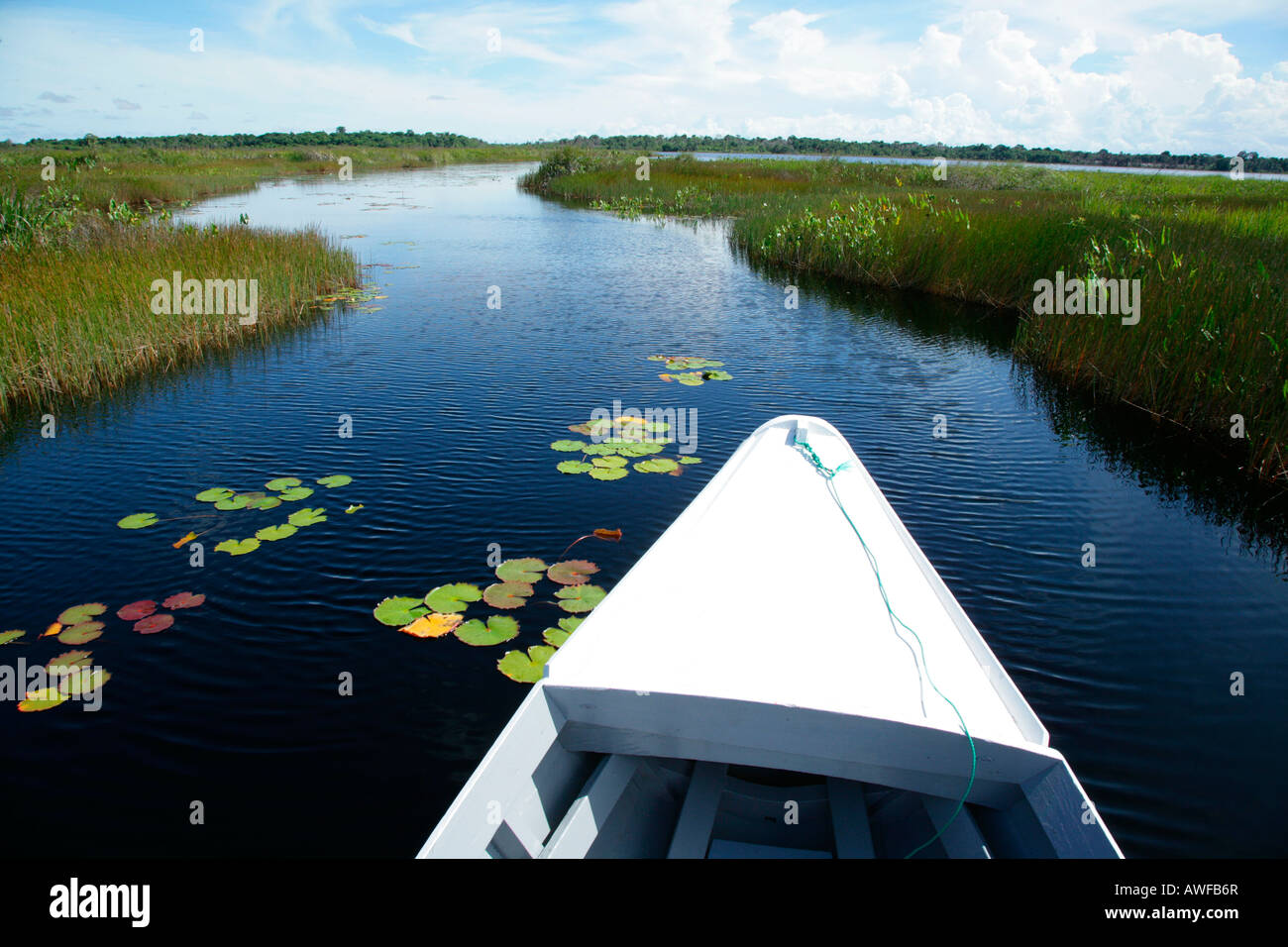 Boat, Lake Capoey, Guyana, South America Stock Photo - Alamy