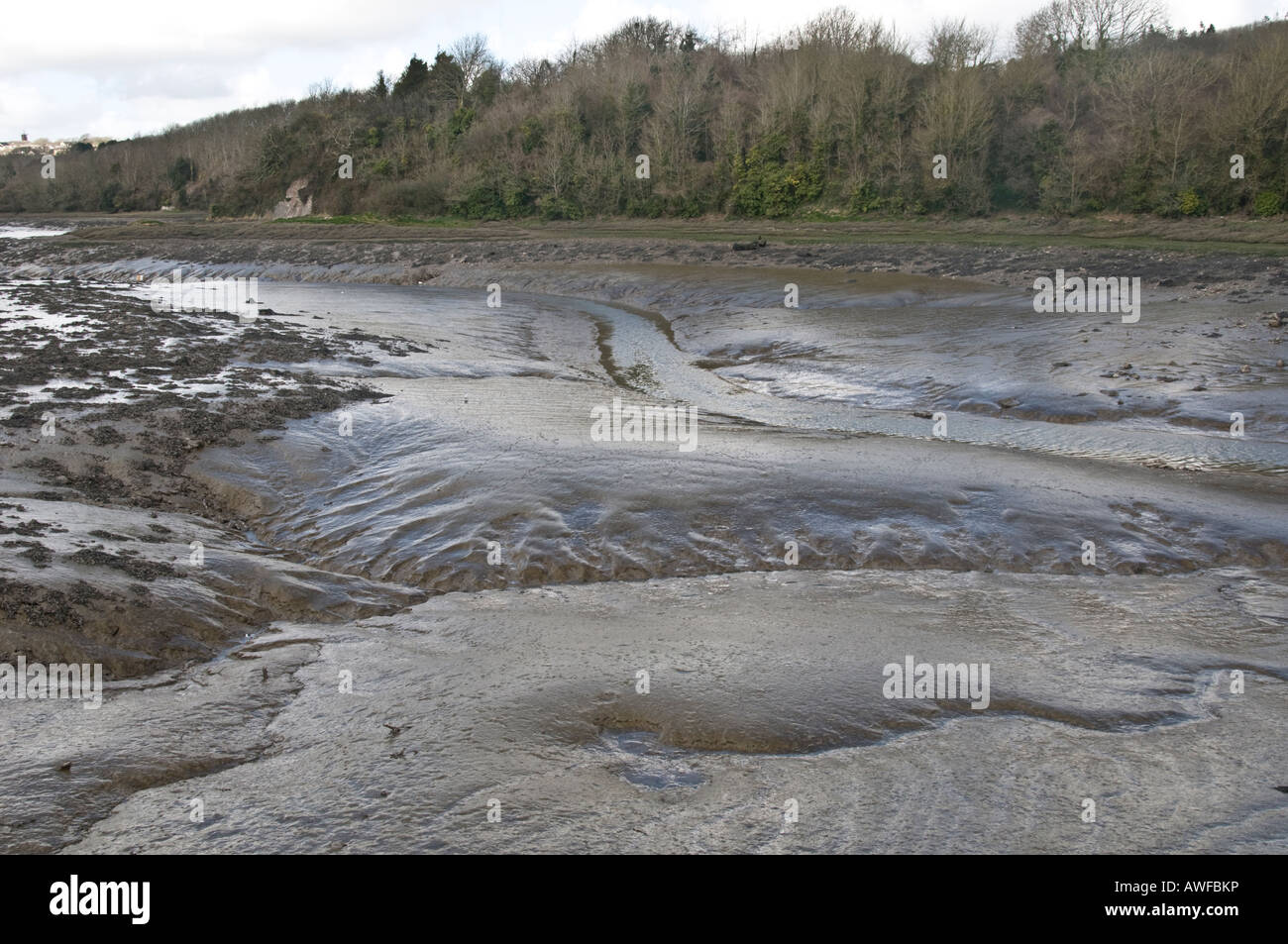 Exposed mudflat hi-res stock photography and images - Alamy