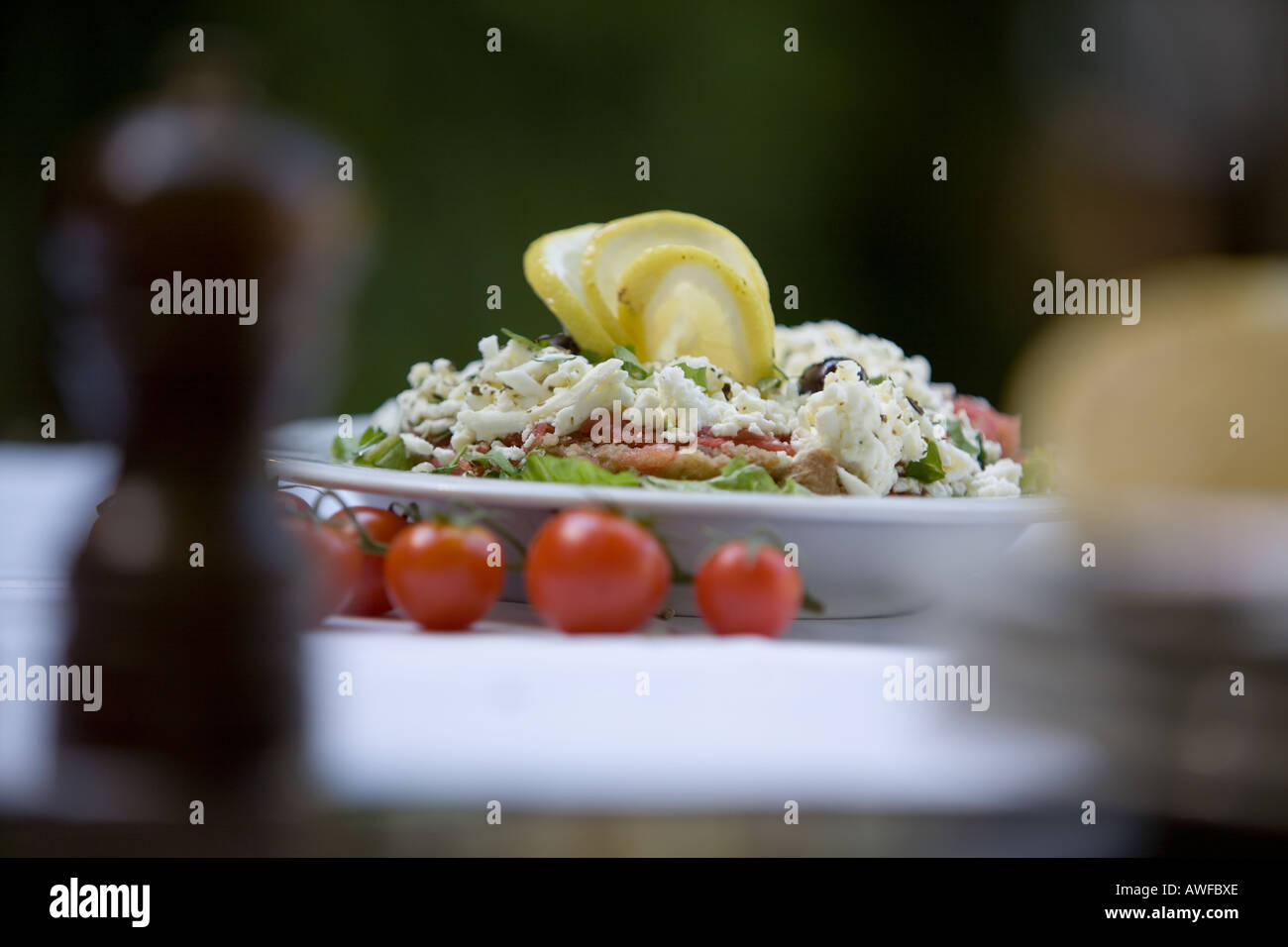 Greek Salad. ''Dakos'' = Kretan/Cretan variety of Greek Salad ...