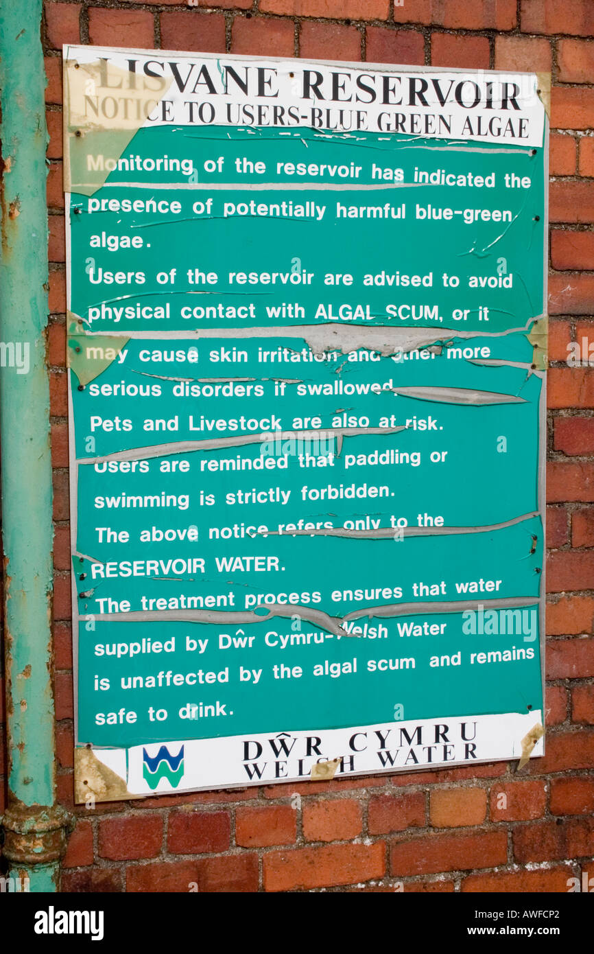 Blue green algae warning sign hi-res stock photography and images - Alamy