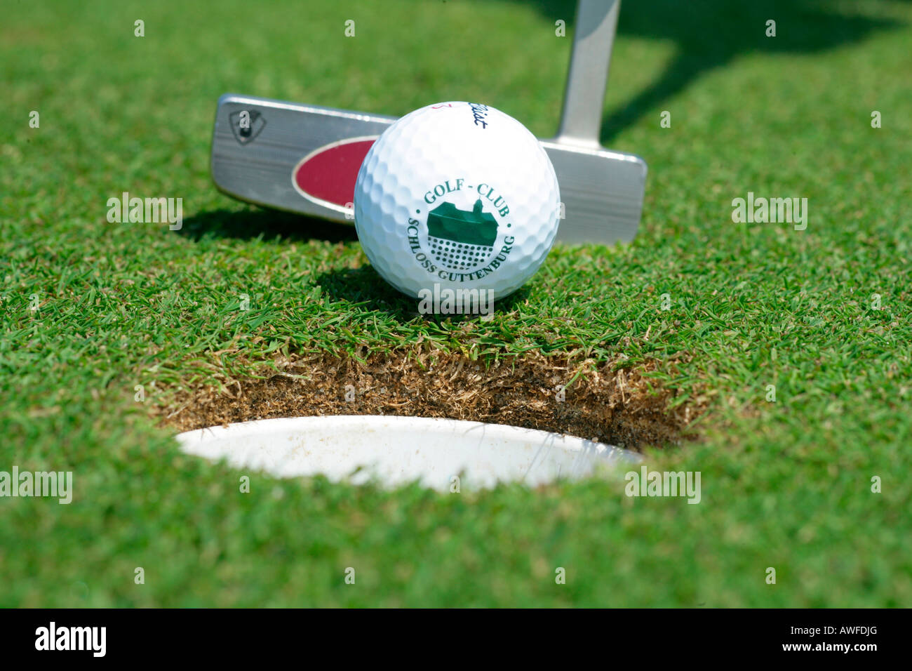 Golf club and golf ball, Upper Bavaria, Bavaria, Germany, Europe Stock ...