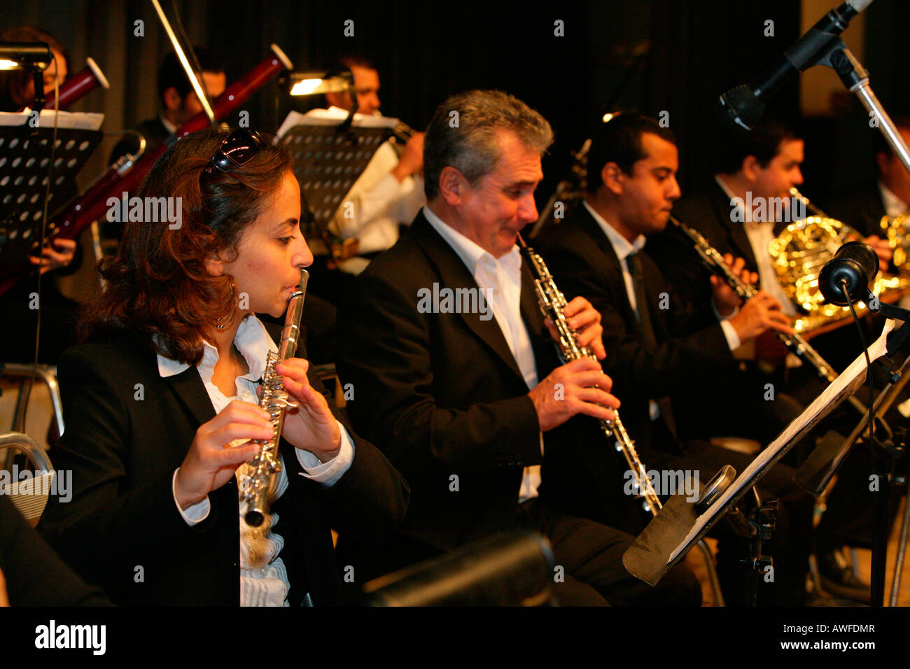 Egyptian Musicians High Resolution Stock Photography and Images - Alamy
