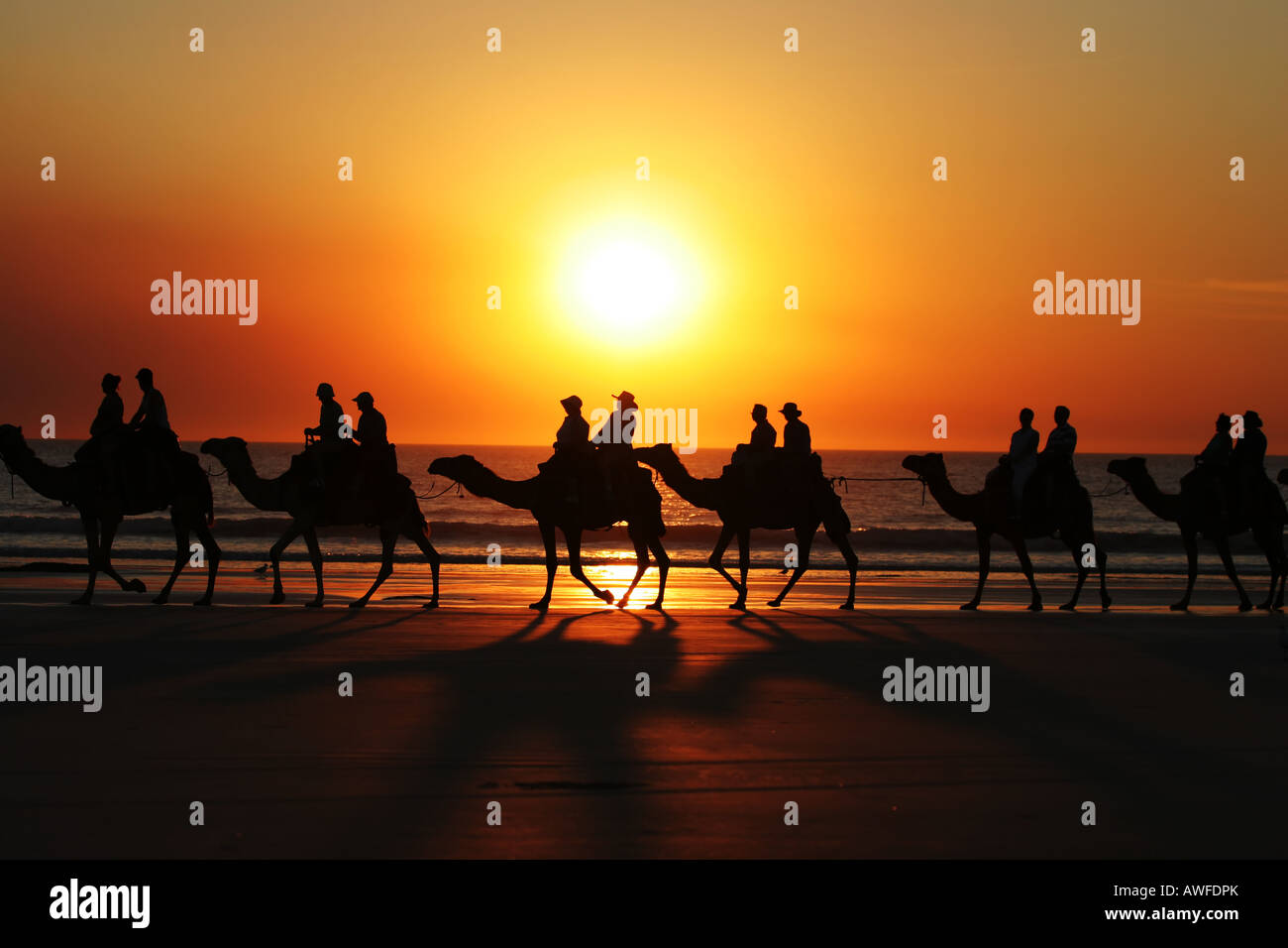 Riding camels at sunset Stock Photo - Alamy