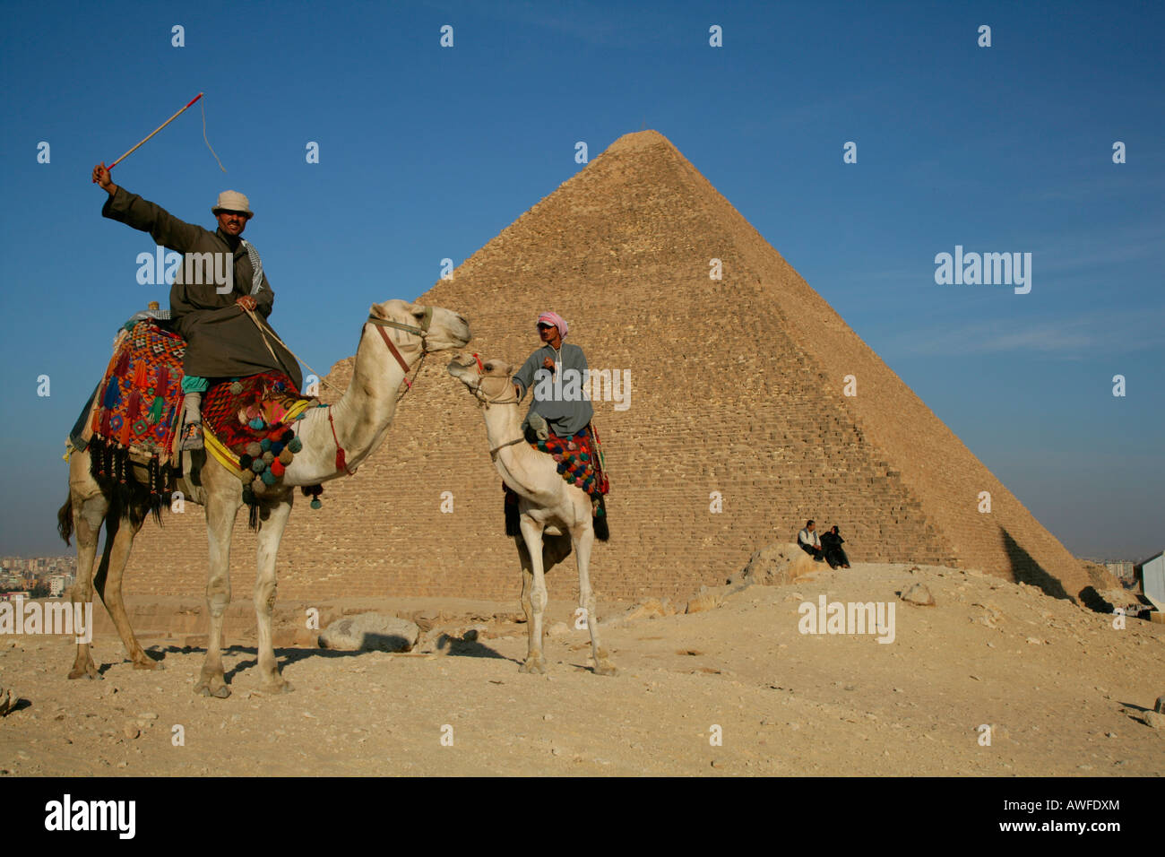 Camel riders in front of pyramid, Giza, Egypt, North Africa, Africa ...