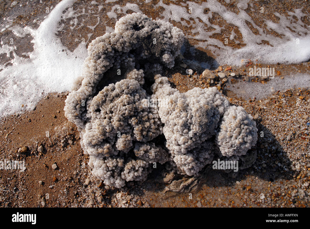 Salt formation at the east bank of the Dead Sea, Jordan Stock Photo - Alamy