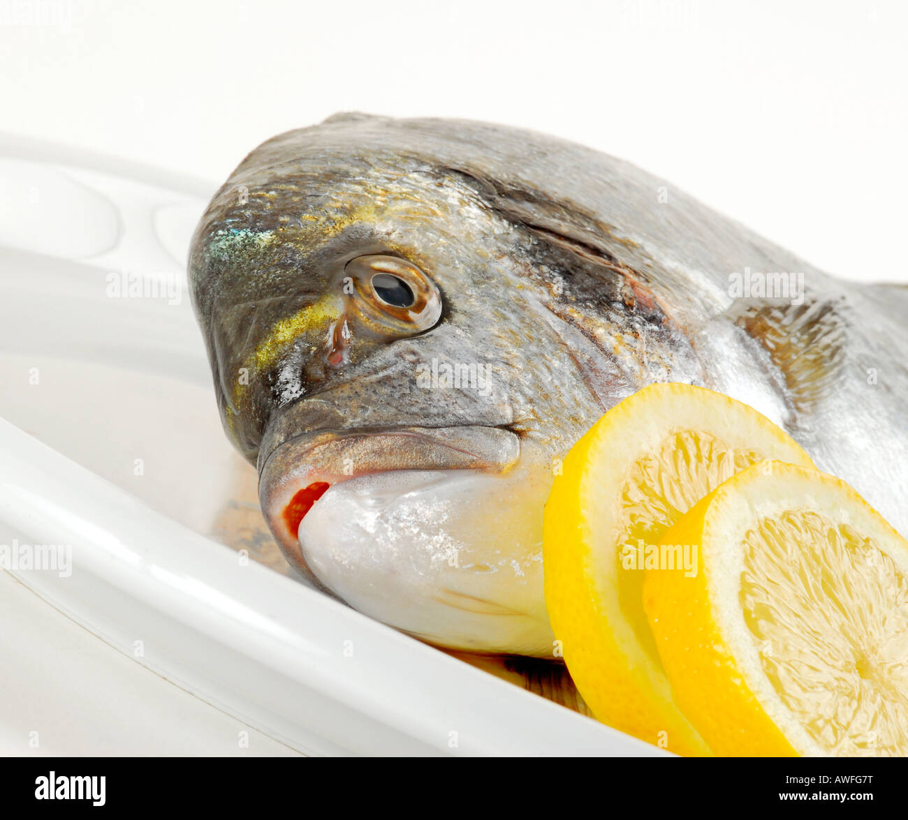 Gilthead hi-res stock photography and images - Alamy