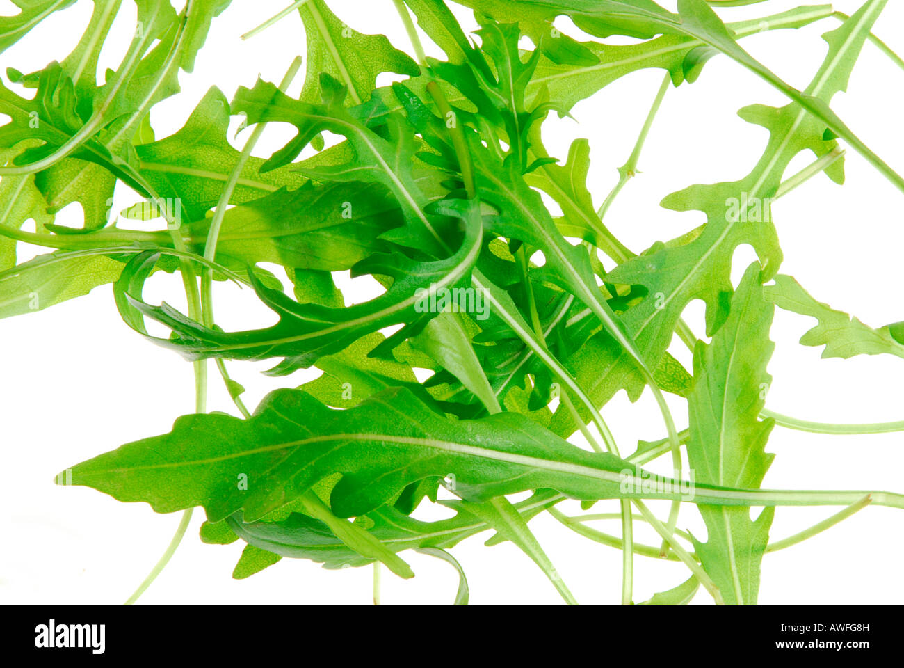 Rucolablaetter hi-res stock photography and images - Alamy