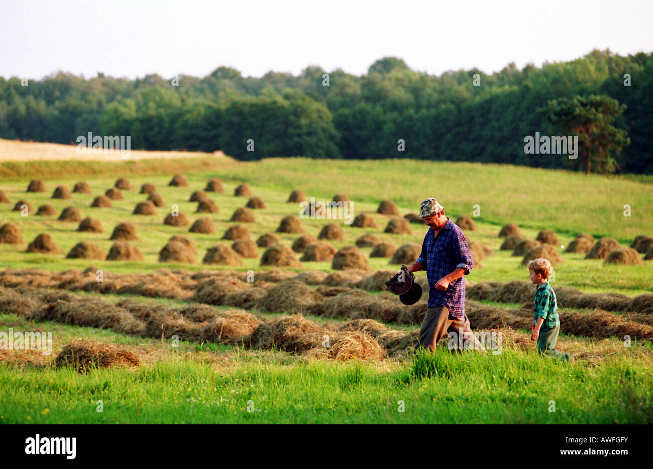 Farmer with his son on a meadow, Kotulin, Poland Stock Photo - Alamy