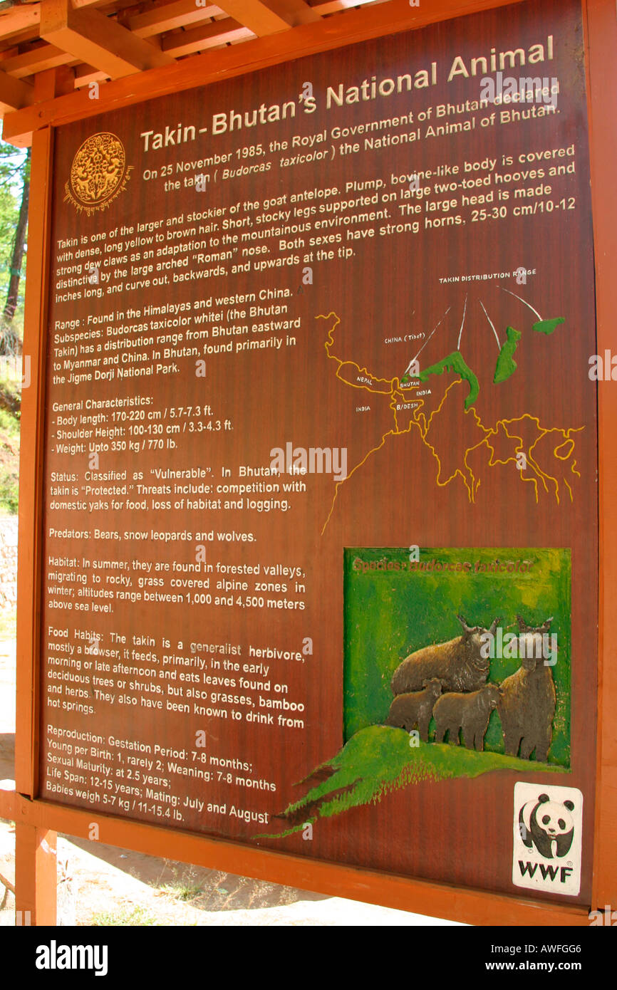 Zoo Animal Information Signs