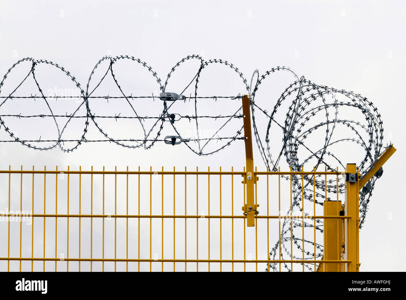 Yellow metal fence with barbed wire (razor wire Stock Photo - Alamy