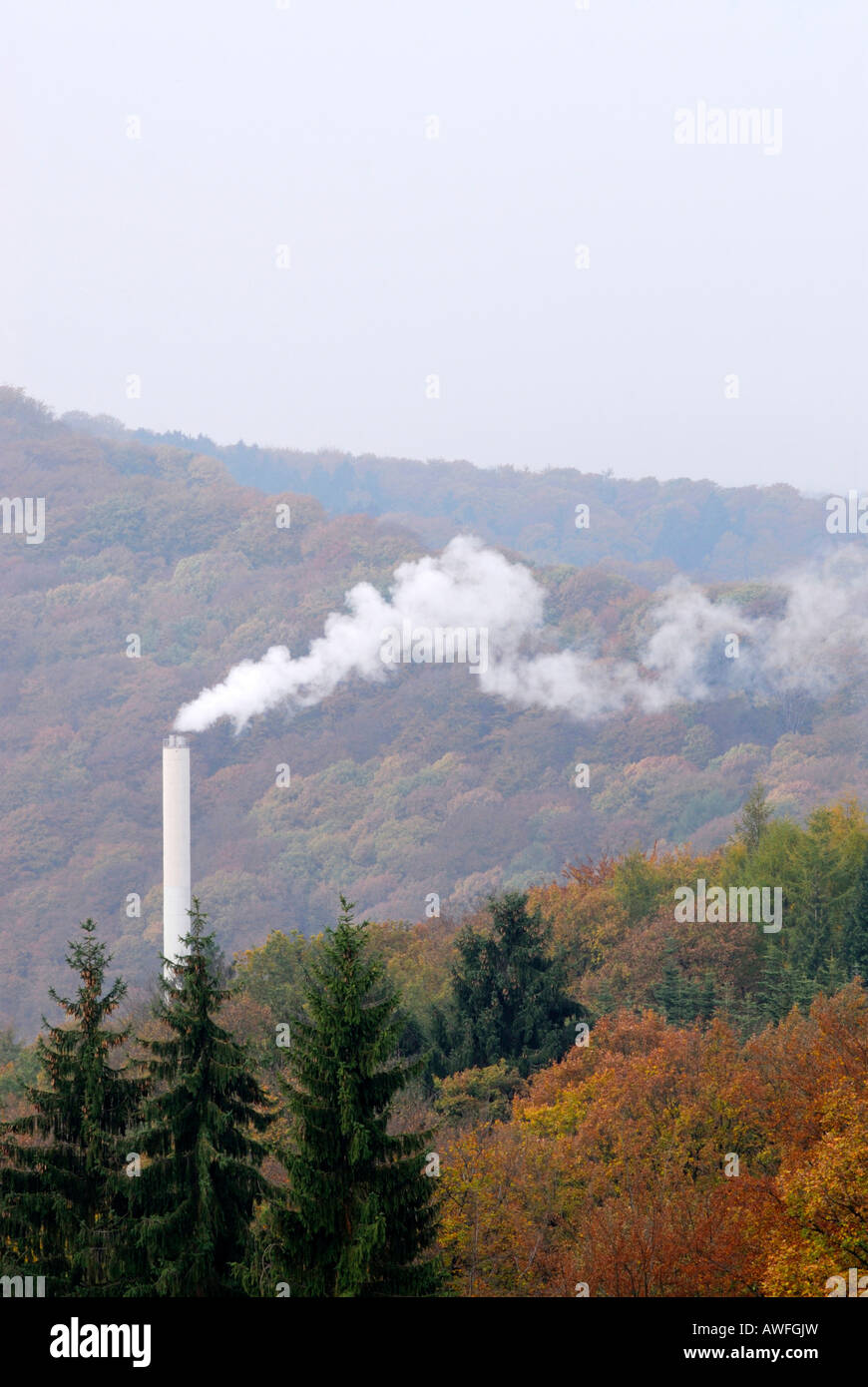 In the middle of a forest hi-res stock photography and images - Alamy
