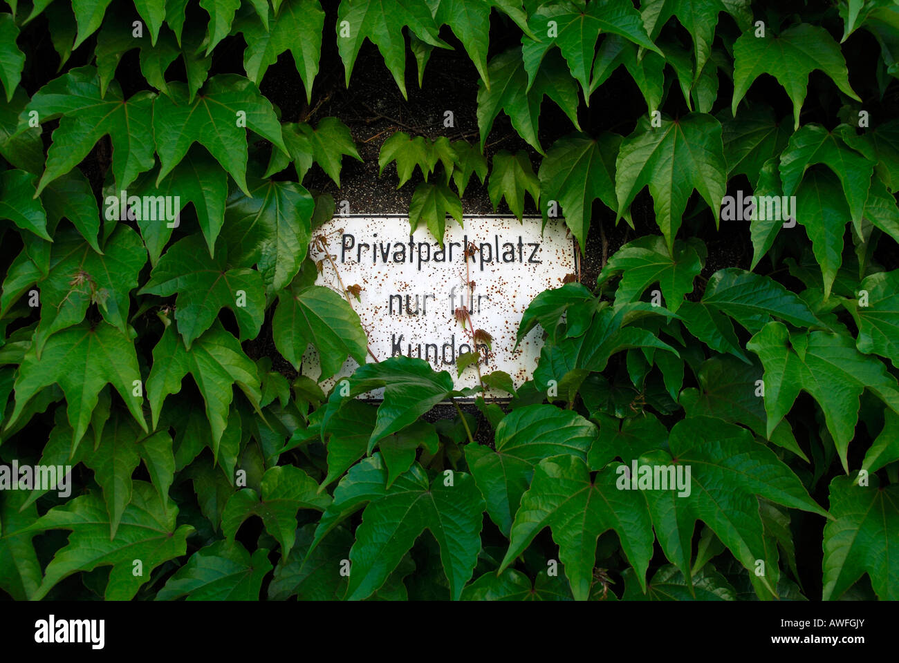 Grown-over private parking sign Stock Photo - Alamy