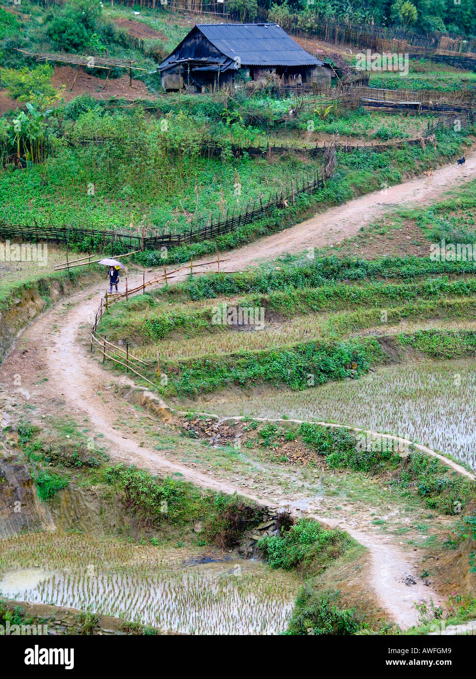 Sa Pa village Stock Photo - Alamy