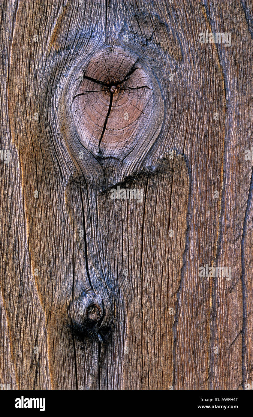 Knothole in a wood board, detail Stock Photo - Alamy