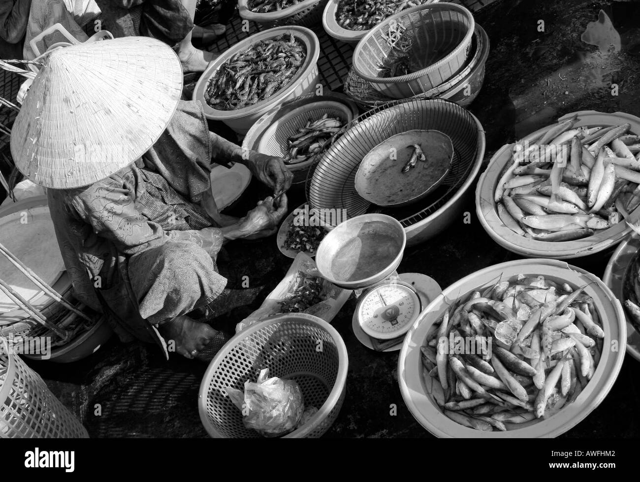 Ovoid round Black and White Stock Photos & Images - Alamy