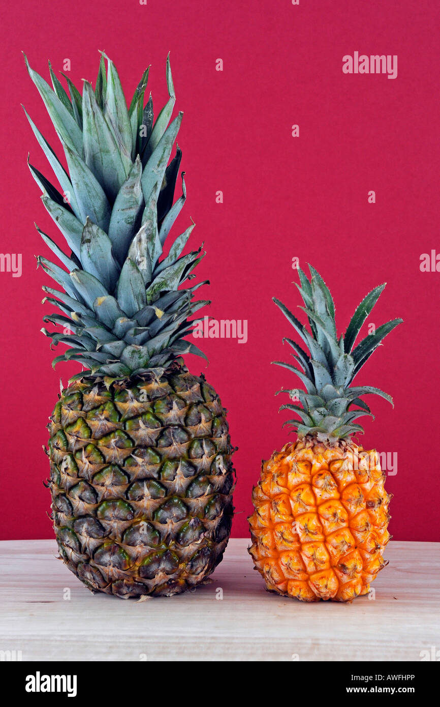 Two kinds of pineapple Stock Photo - Alamy