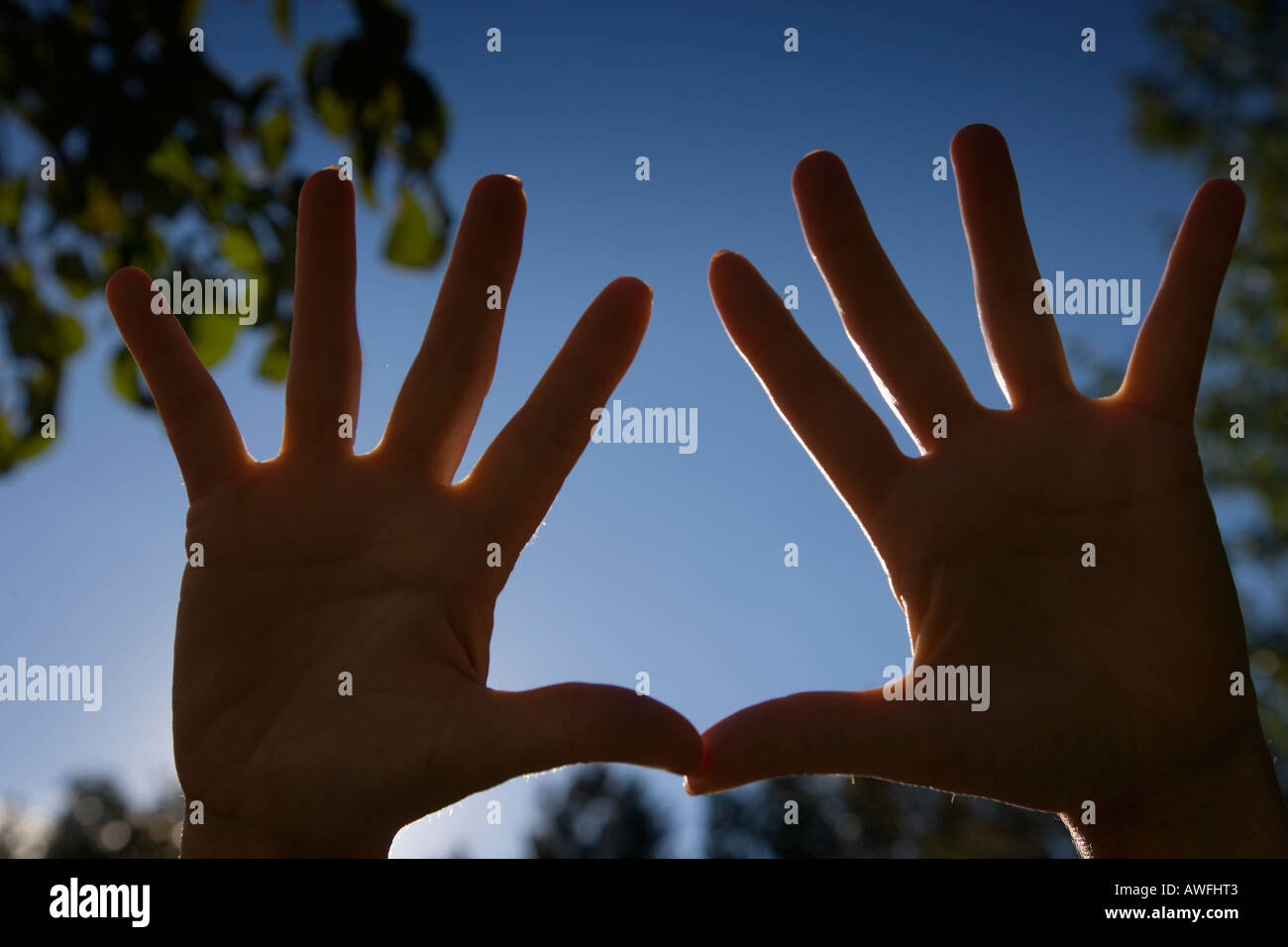 Blocking out the sky hi-res stock photography and images - Alamy