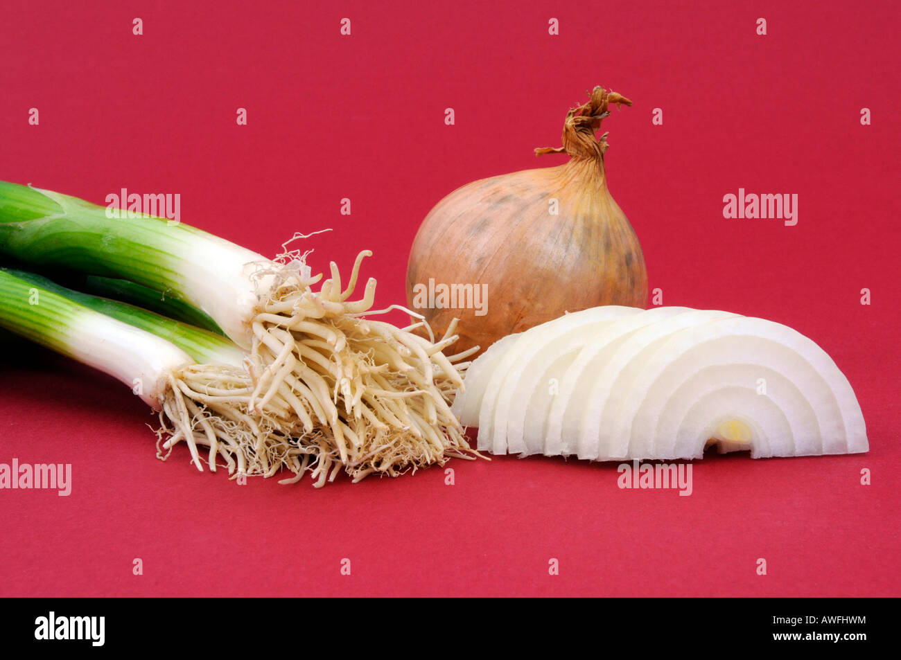 Spring onion, onions Stock Photo - Alamy