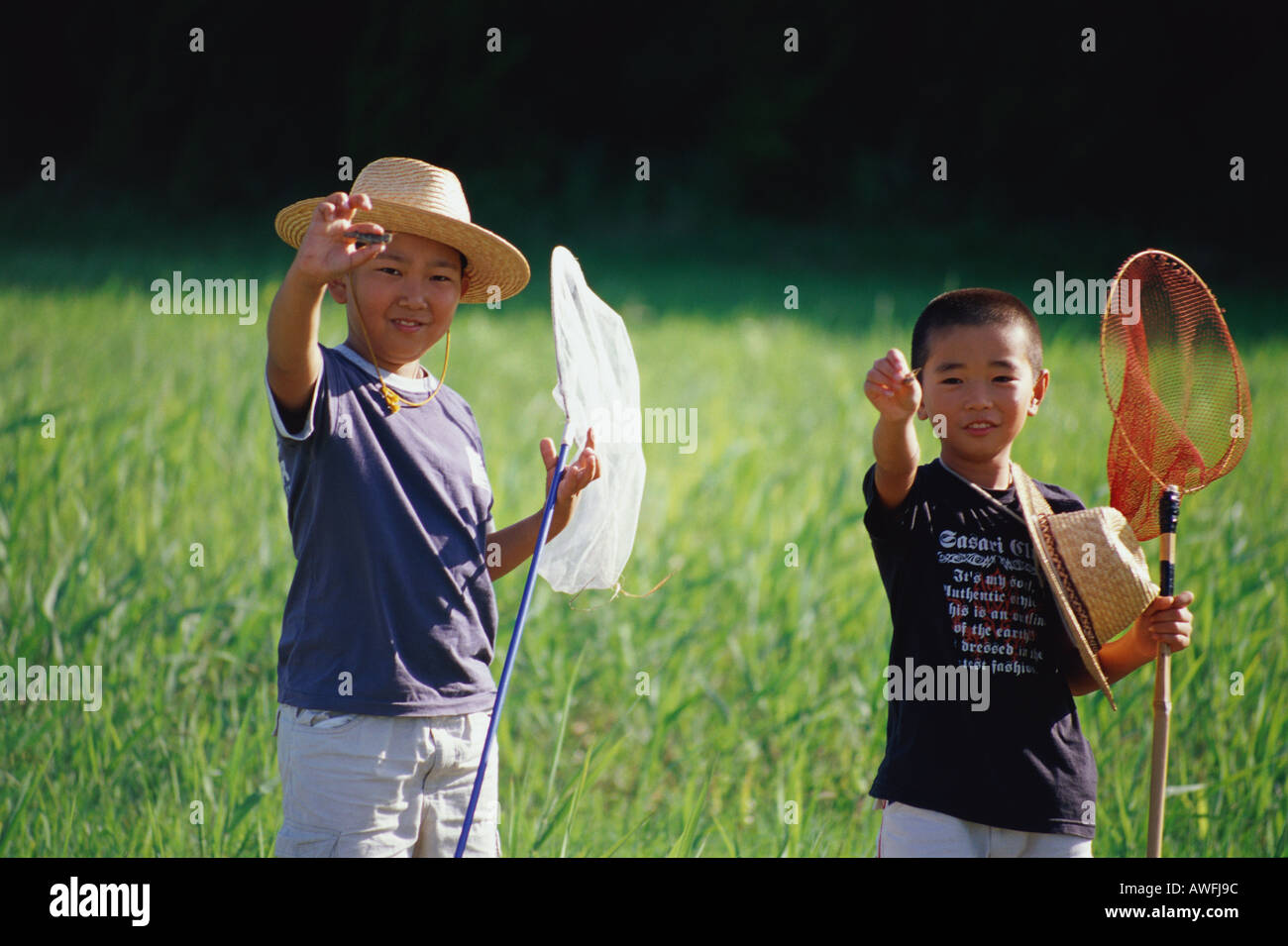 Boys catching insects in field Stock Photo - Alamy