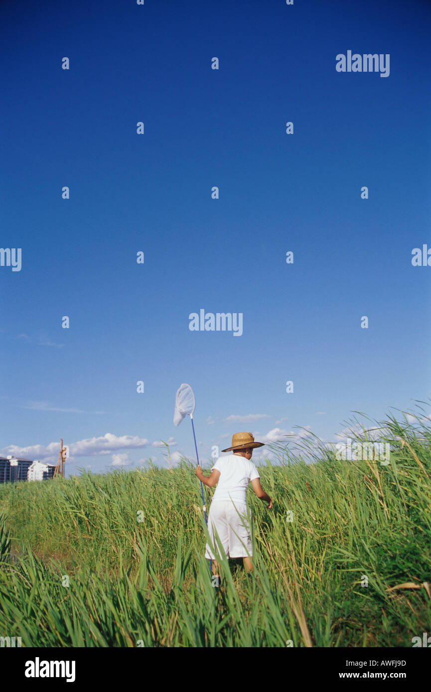 Boy catching insects in field Stock Photo - Alamy