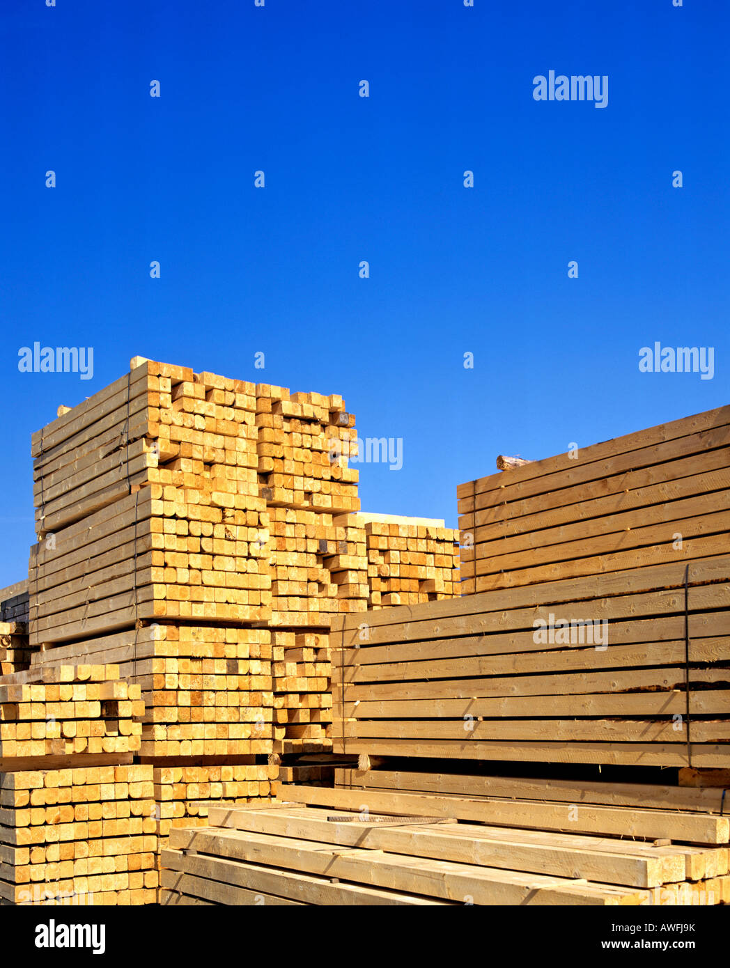 Lumber storage at a sawmill, lumber industry Stock Photo - Alamy