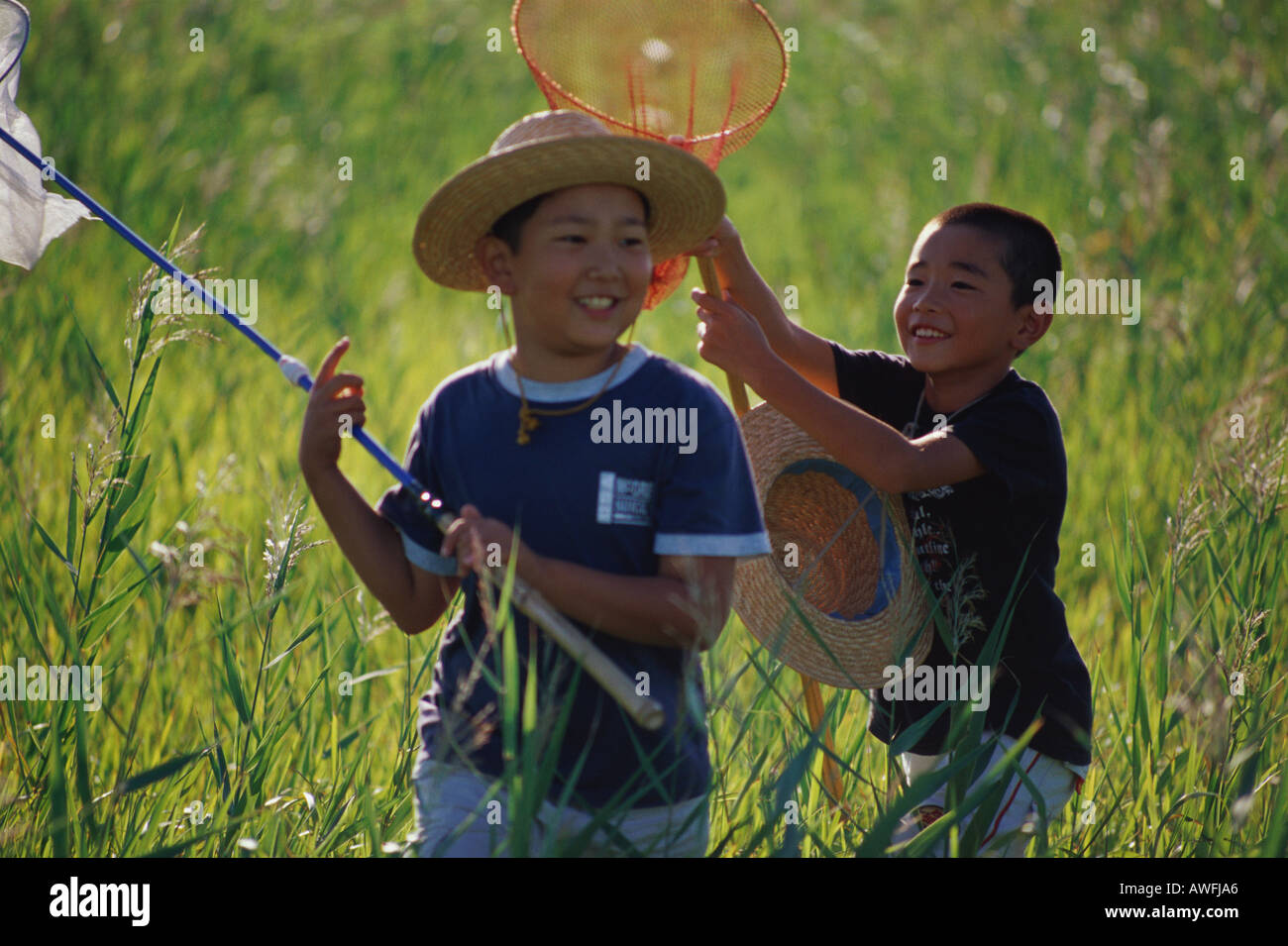 Catching insects children hi-res stock photography and images - Alamy