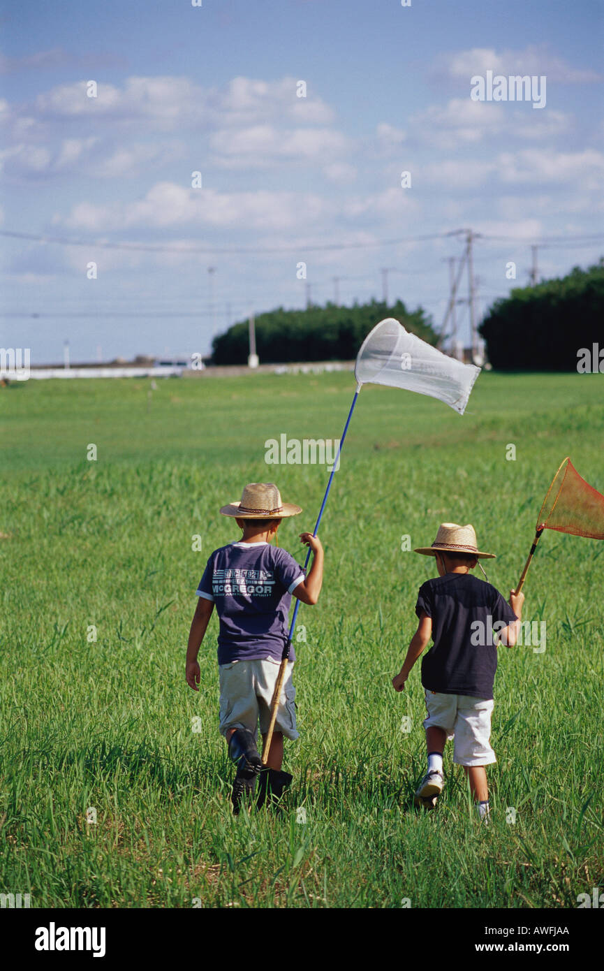 Boys catching insects in field Stock Photo - Alamy