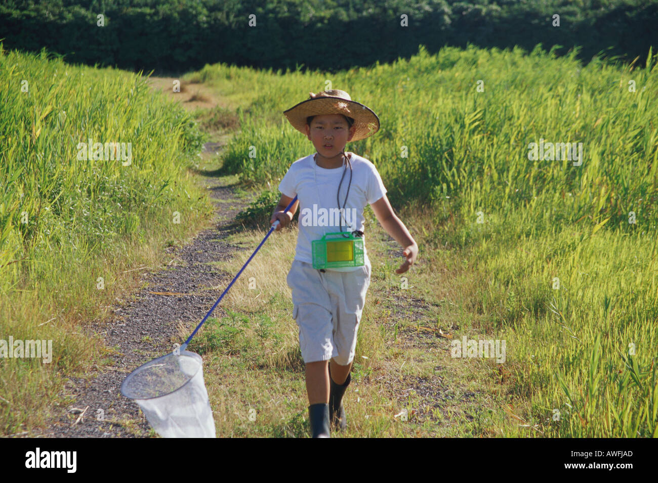 Boy butterfly net grass hi-res stock photography and images - Alamy