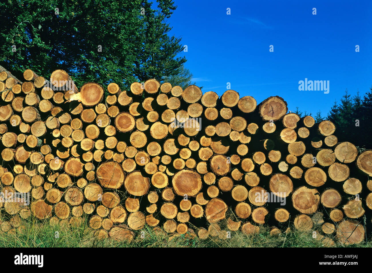 Lumber hi-res stock photography and images - Alamy