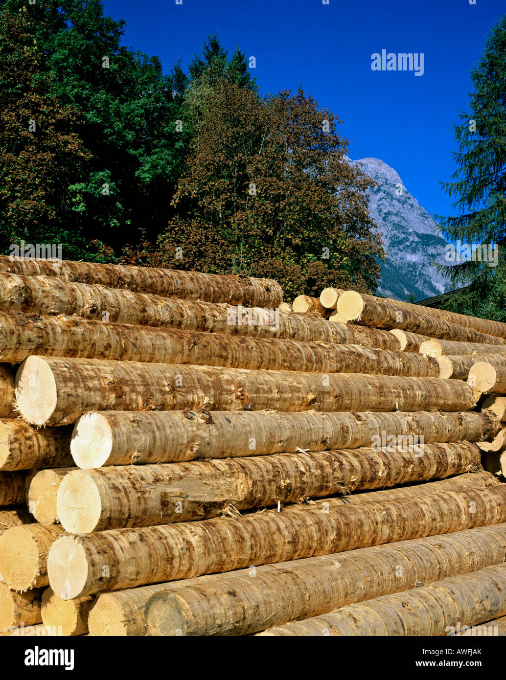 Stacked logs, lumber industry Stock Photo - Alamy