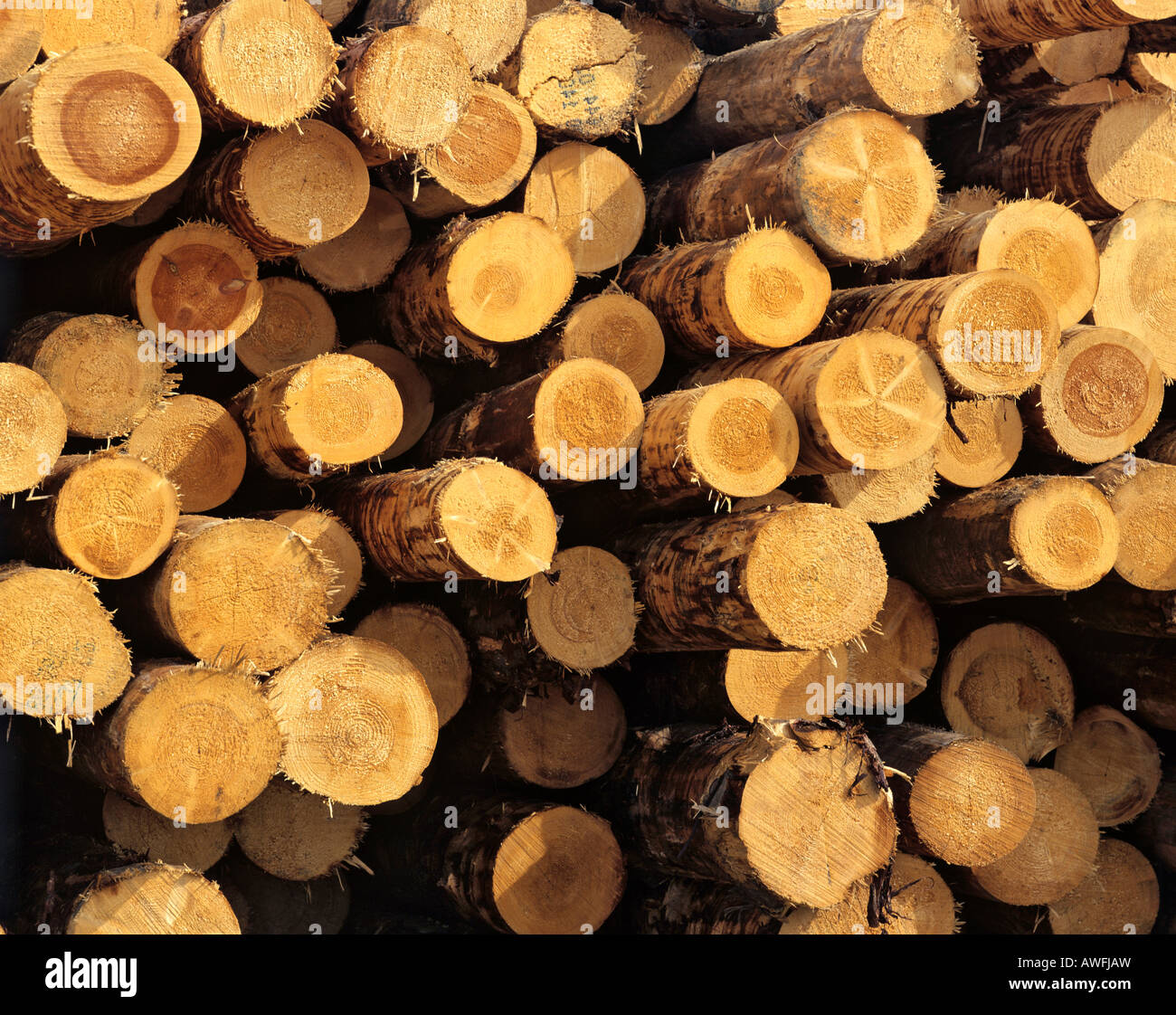 Stacked logs, lumber industry Stock Photo - Alamy