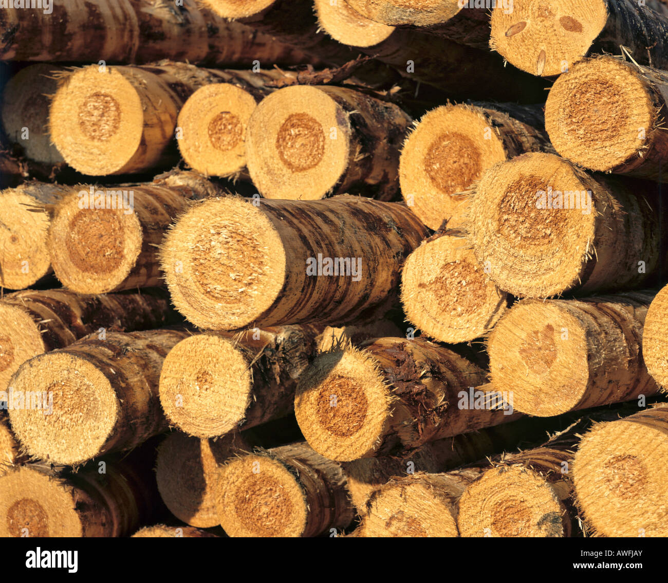 Stacked logs, lumber industry Stock Photo - Alamy