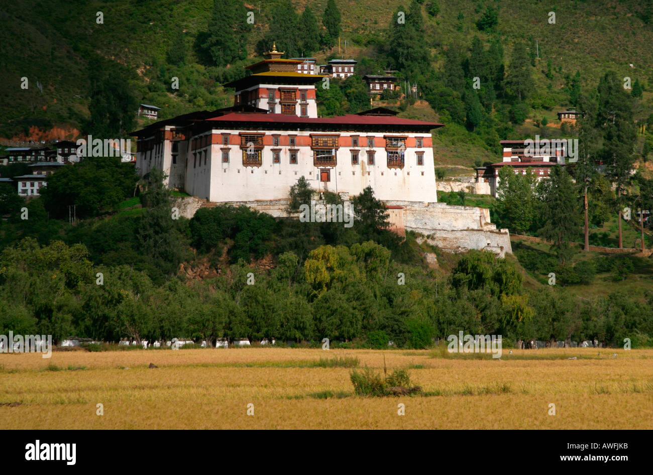 Rinpung Dzong, the massive fortress which is also the administrative ...