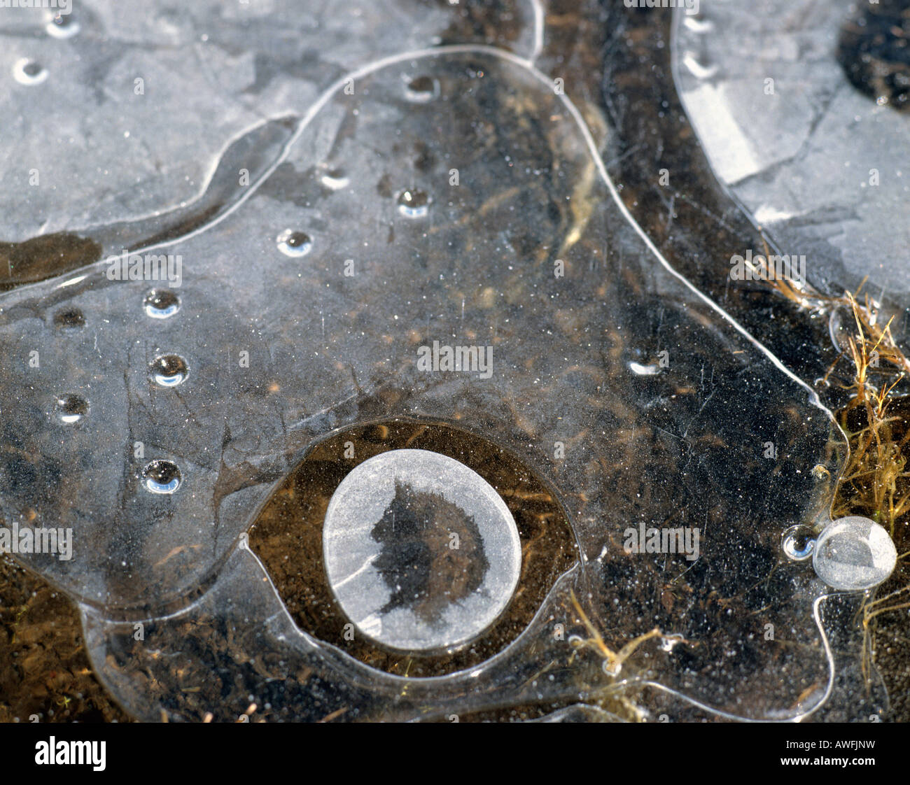 Eye formation in a frozen puddle Stock Photo - Alamy