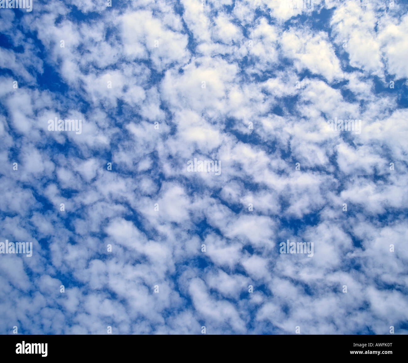 Altocumulus wolke hi-res stock photography and images - Alamy