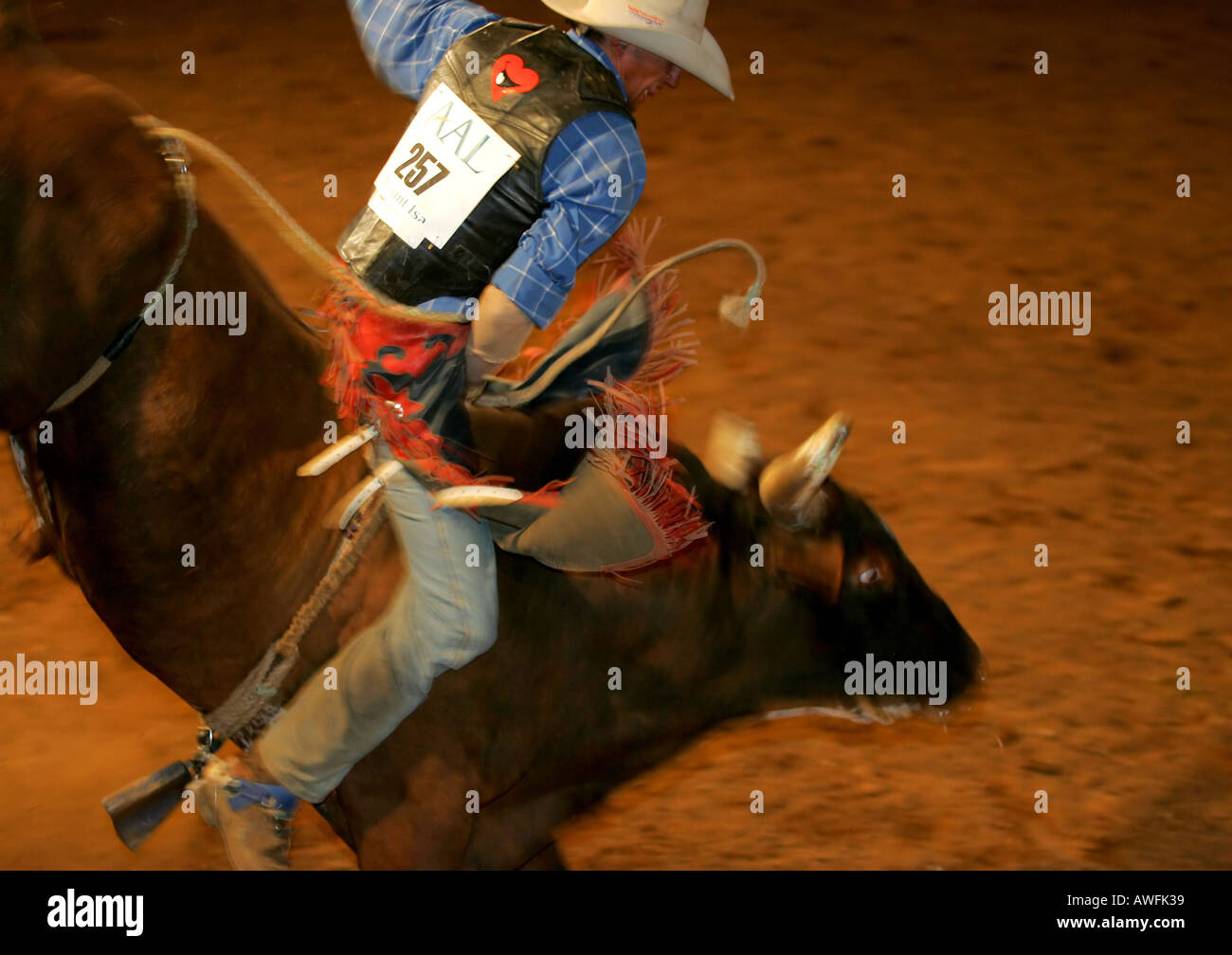 Bull riding Mt. Isa Stock Photo - Alamy