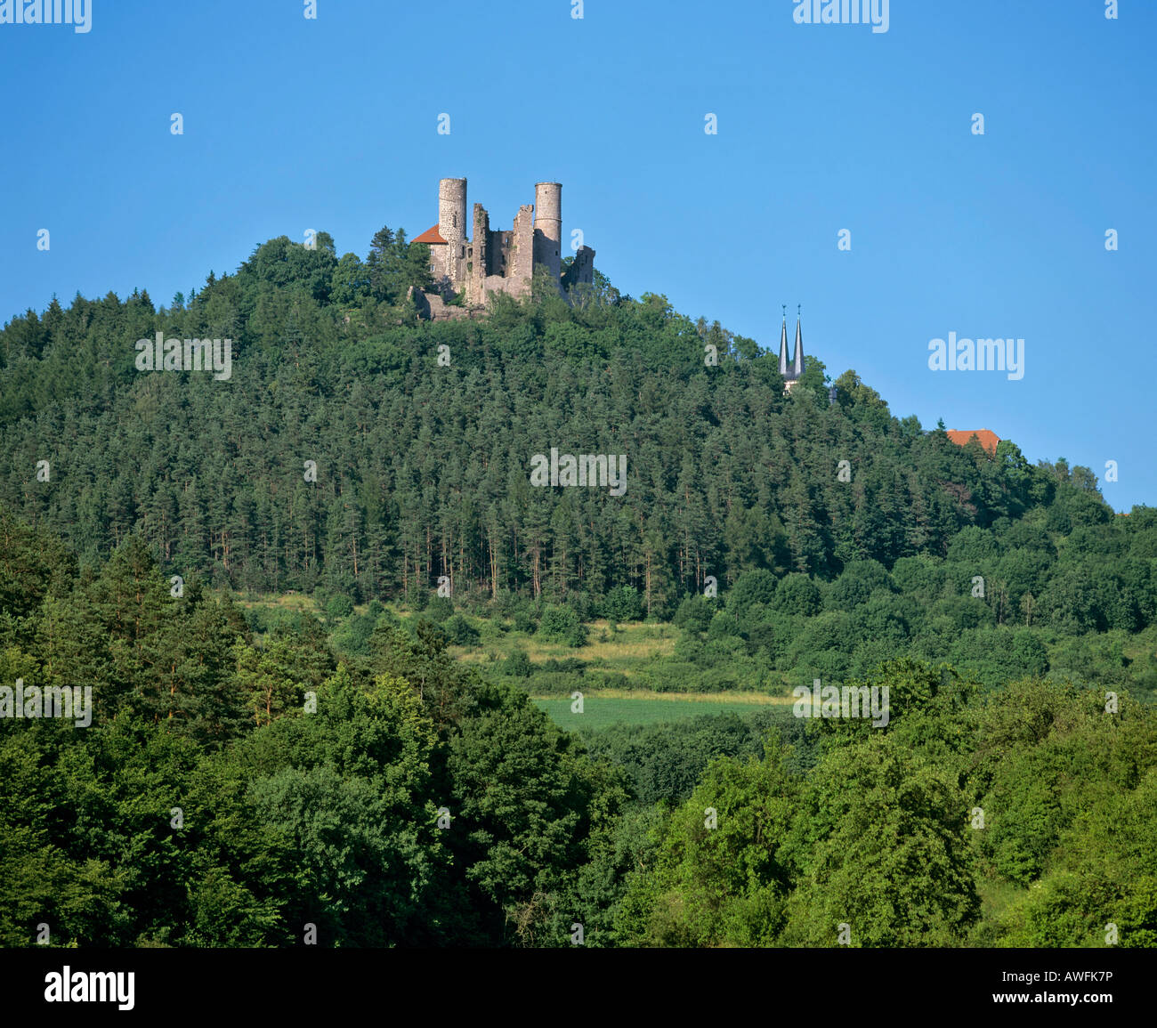 Hanstein hi-res stock photography and images - Alamy