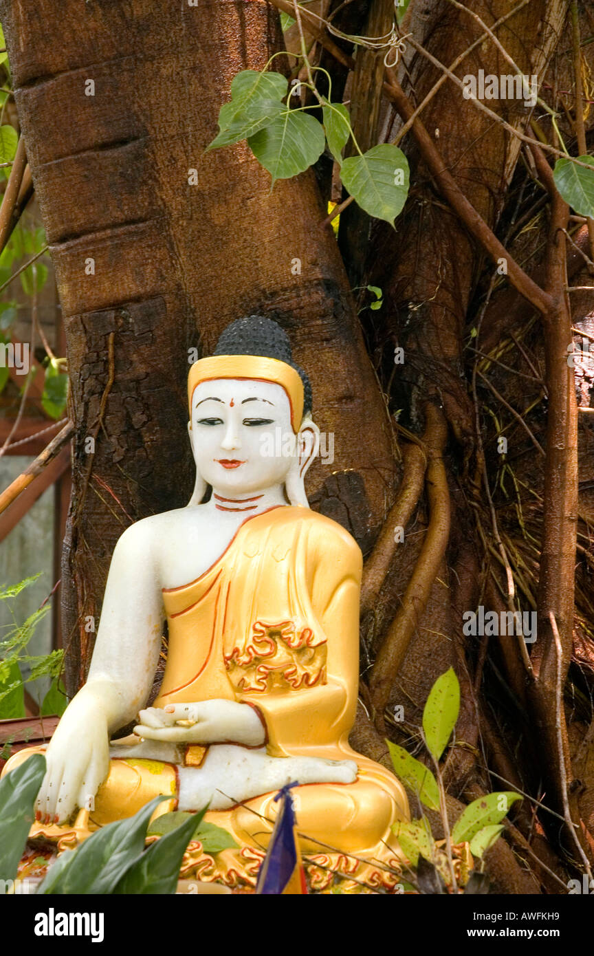 Stock photograph of a ceramic Buddha sitting under a bodhi tree at Sein ...
