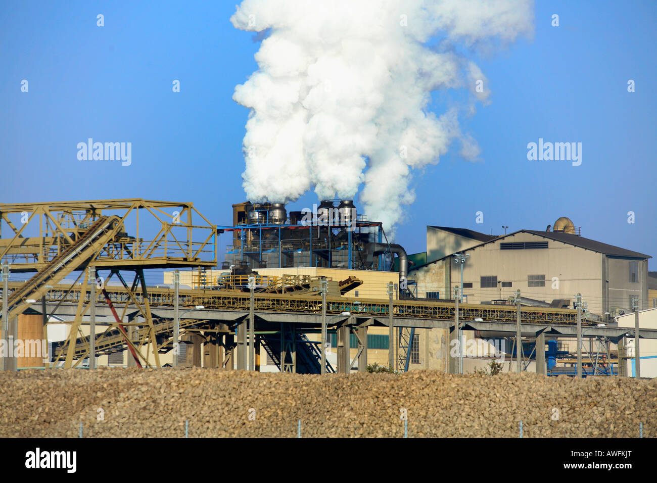 sugar refinery Stock Photo - Alamy