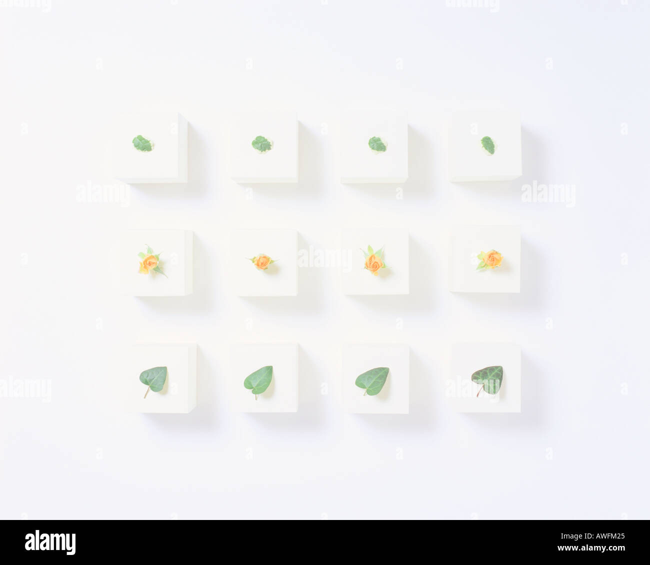 Gift boxes in row Cut Out Stock Images & Pictures - Alamy