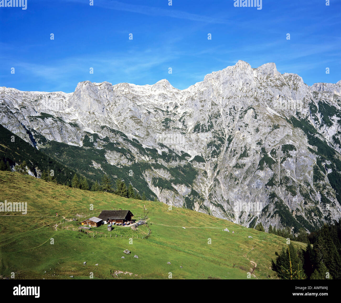 Mt. Eiskogel and alpine meadow, Tennengebirge (Tennen Range ...