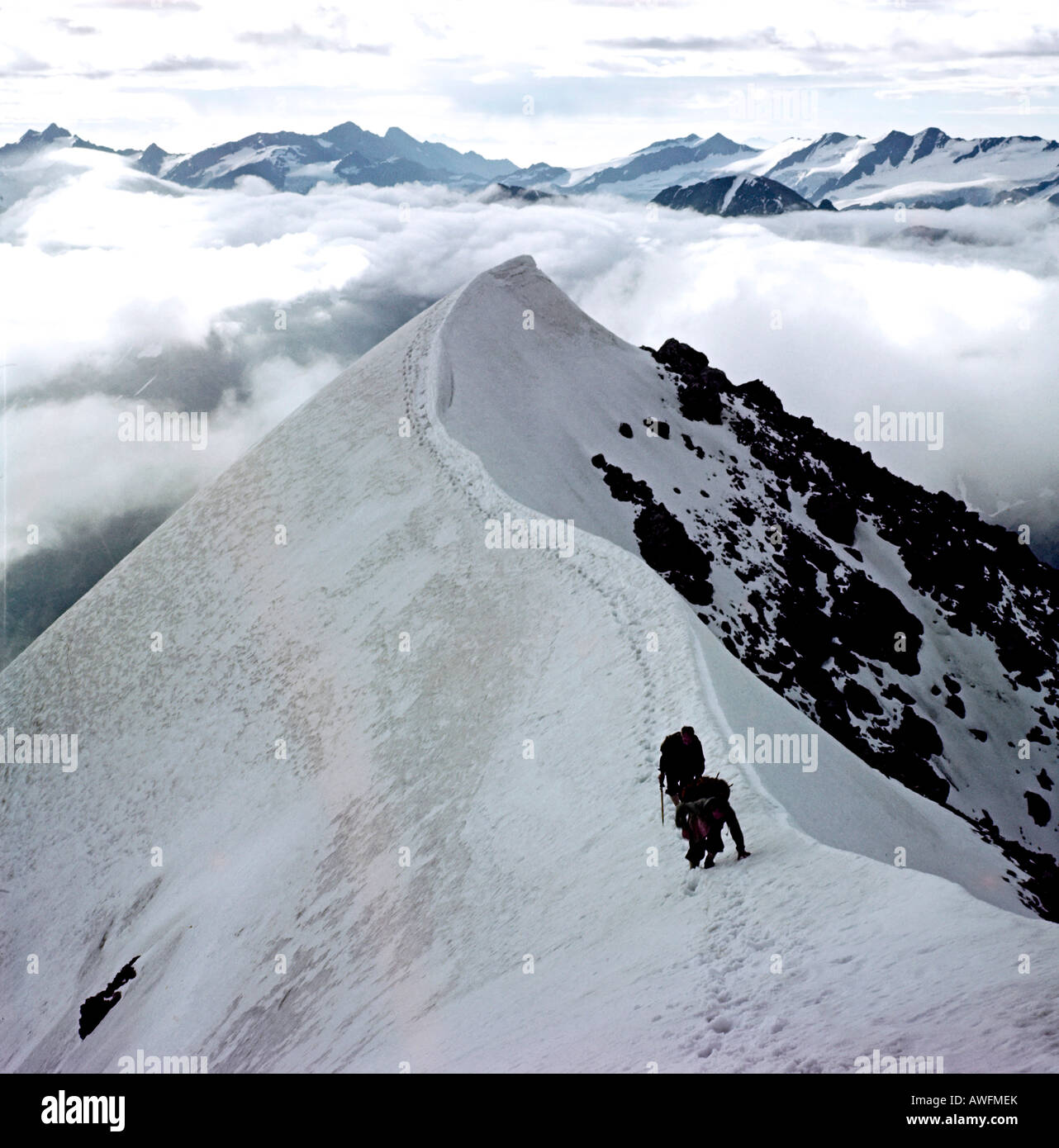 Mountain climber at Ortler Hintergrat, Ortlergruppe, South Tirol ...